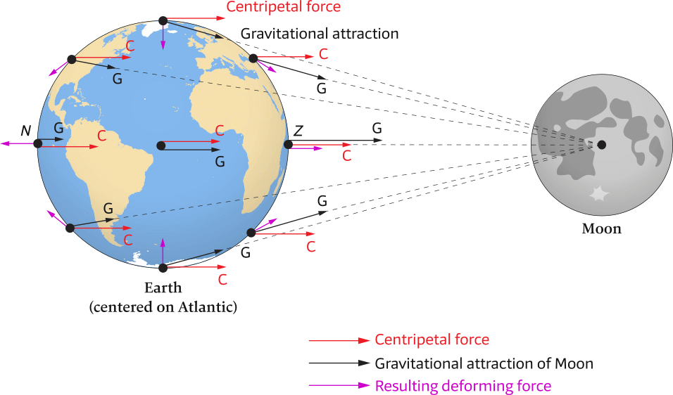 Gravitational Force Field Diagram Of The Moon